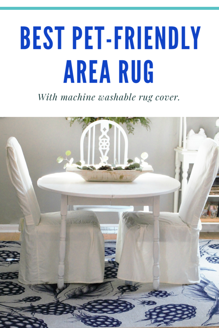The Best Washable Area Rug For A Pet-Friendly Home - Our Crafty Mom