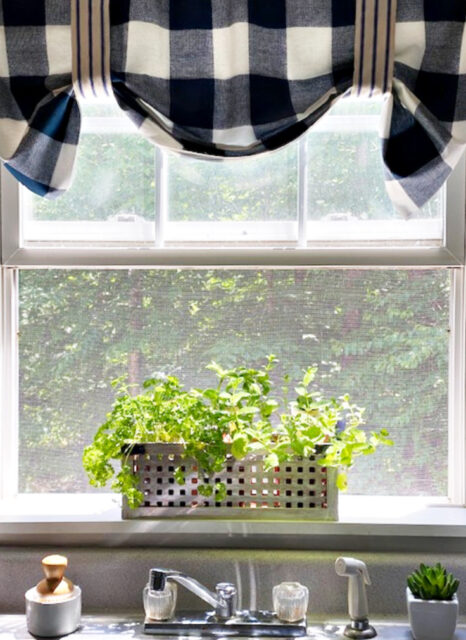 5 Simple Tips For Growing A DIY Kitchen Herb Garden