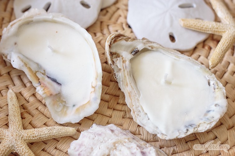 35 Beautiful Beachy Inspired Coastal Home Decor Ideas