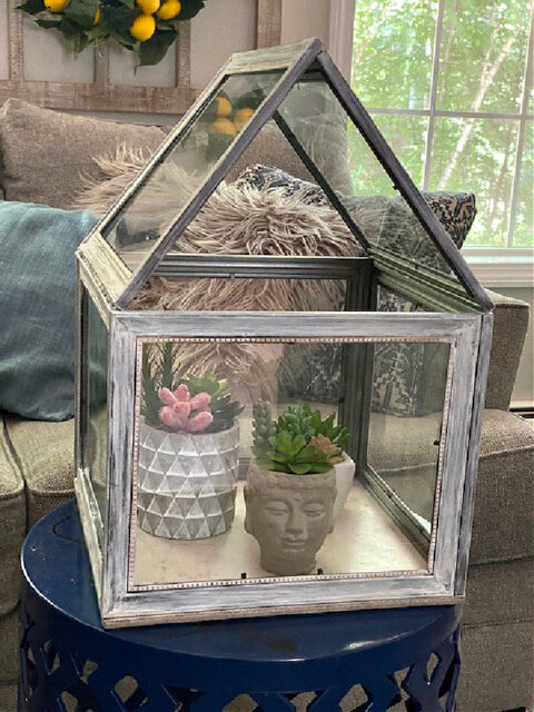 How To Make A Terrarium From Dollar Tree Frames