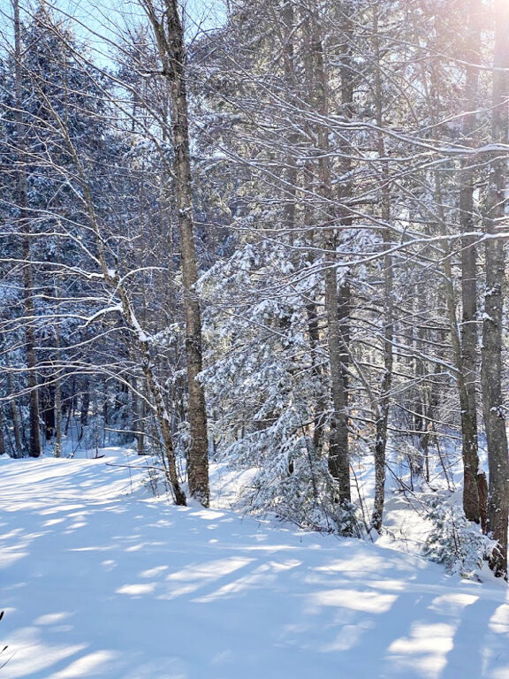 5 Simple Tips To Transition To Winter Decor After Christmas