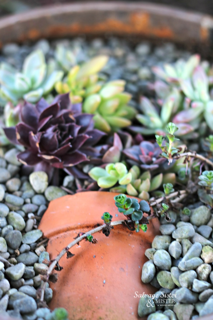 41 Super Creative DIY Repurposed Garden Planters