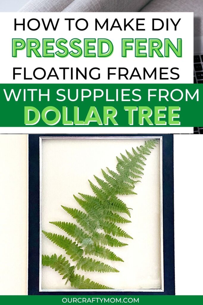 Learn How To Make Super Cool DIY Pressed Fern Wall Art