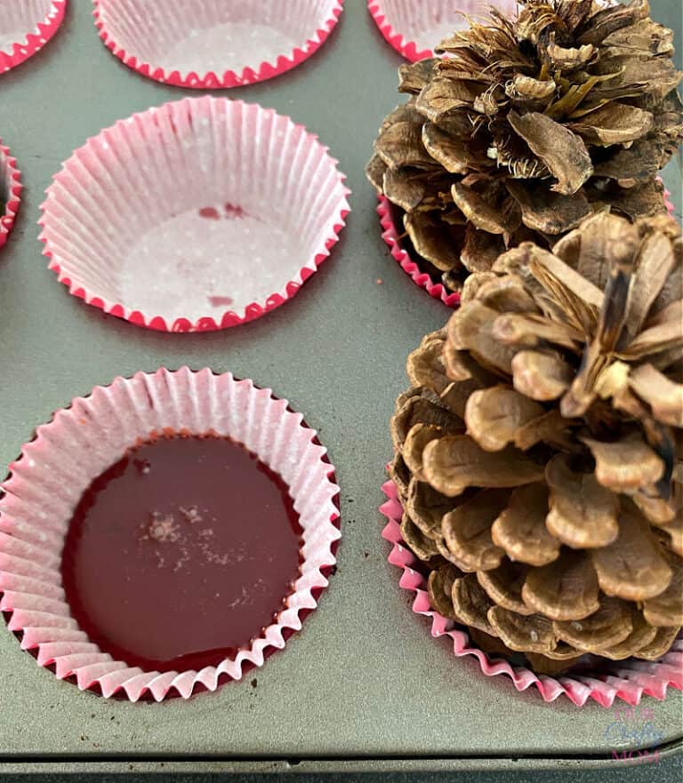 How to Make Pinecone Fire Starters with Free Printable Gift Tag
