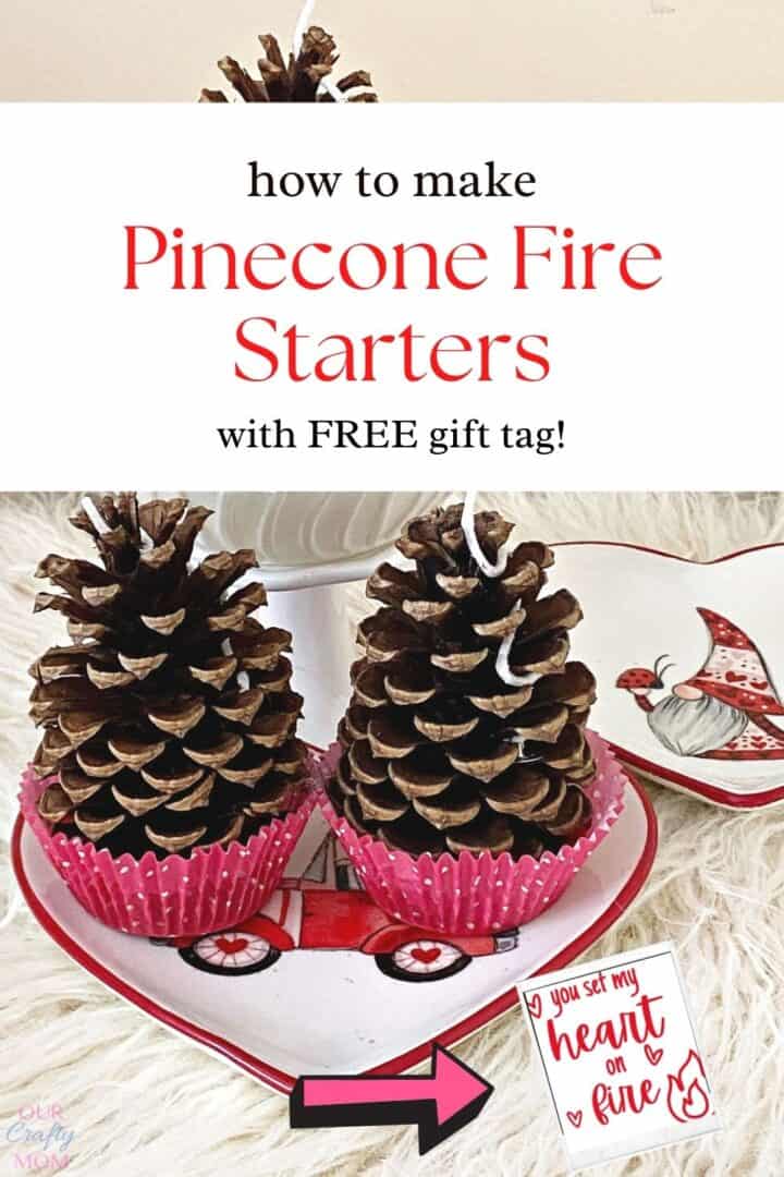 How to Make Pinecone Fire Starters with Free Printable Gift Tag