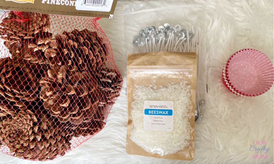 How to Make Pinecone Fire Starters with Free Printable Gift Tag