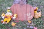25 Festive Fall Signs That You Can Easily DIY