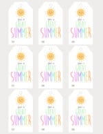Adorable Have a Great Summer Free Printable Tags