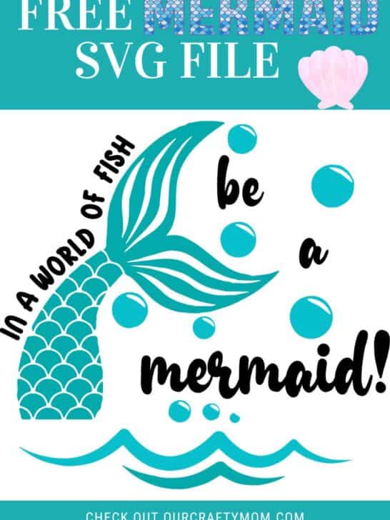 Easy Guide For The xTool M1 Laser Engraver and Vinyl Cutter