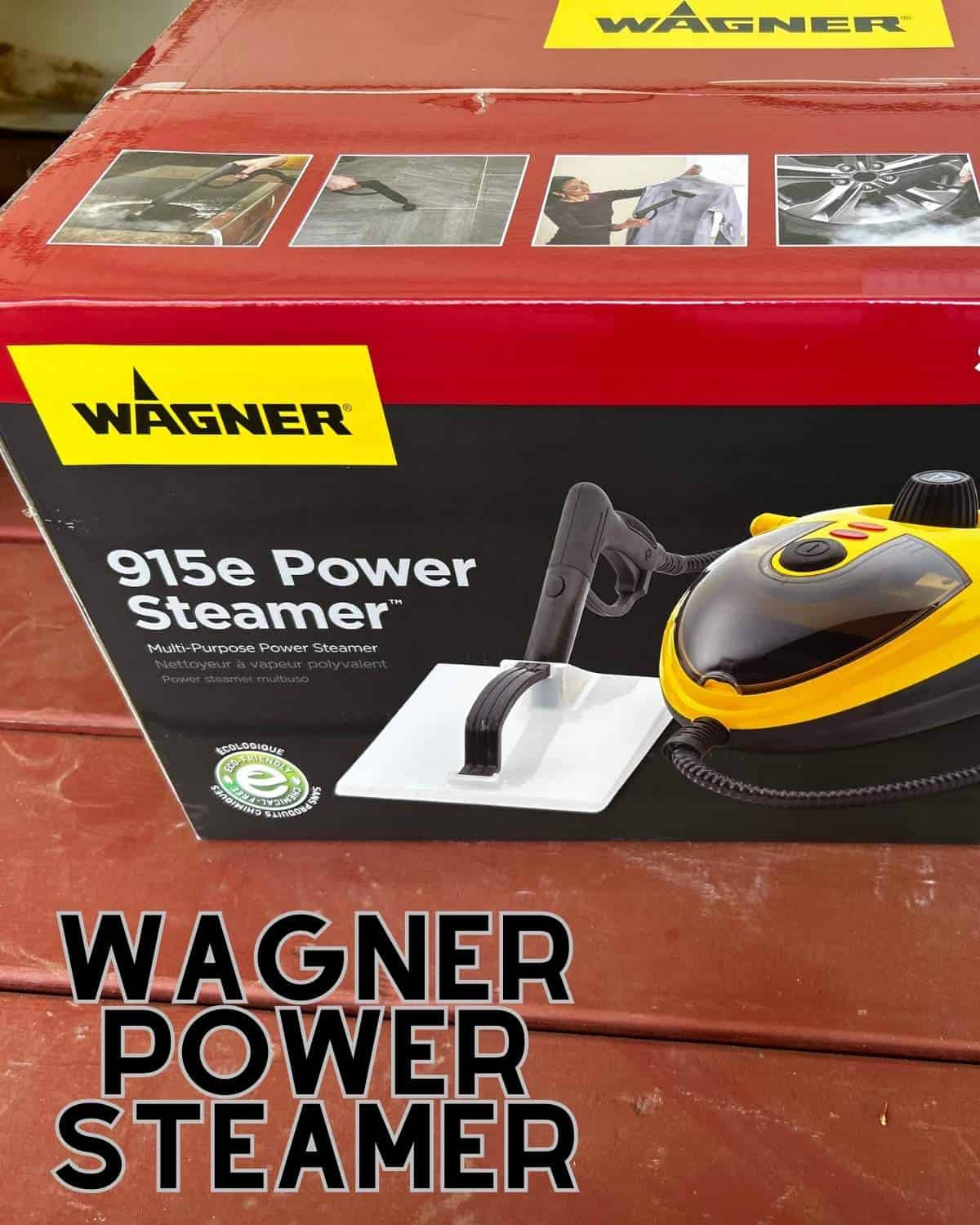 Wagner Power Steamer Giveaway 10 Yr Blogiversary Celebration!