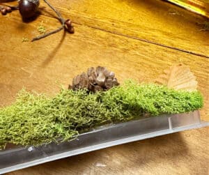 Gorgeous Glass Block Crafting with Free Fall Truck Printable