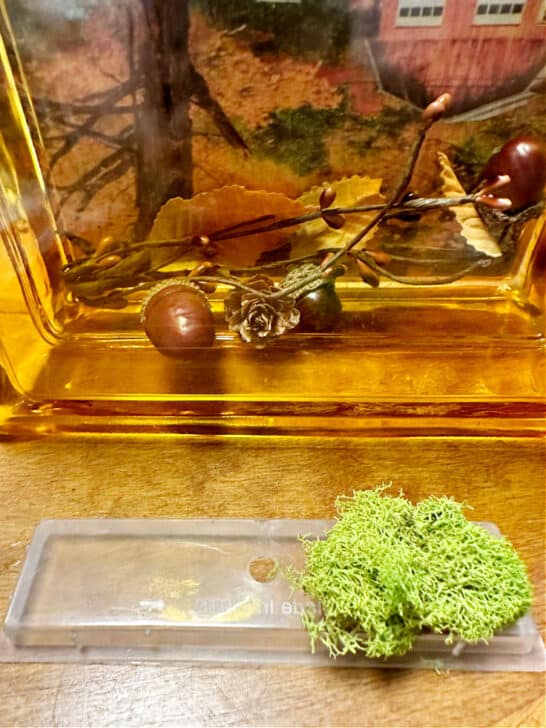 Gorgeous Glass Block Crafting with Free Fall Truck Printable