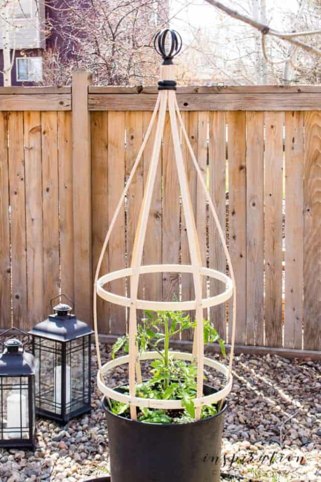 39+ Easy and Cheap Container Gardening Ideas (2024)