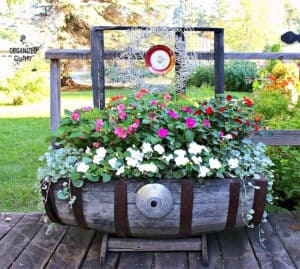 39+ Easy and Cheap Container Gardening Ideas (2024)