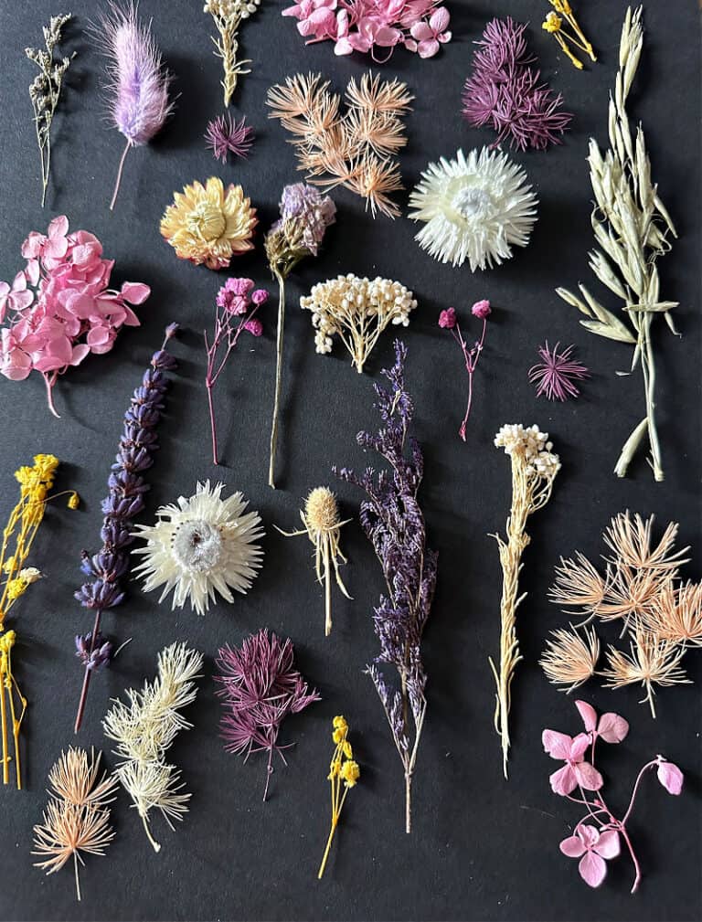How to Make Stunning Pressed Dried Flower Wall Art