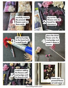How to Make Stunning Pressed Dried Flower Wall Art