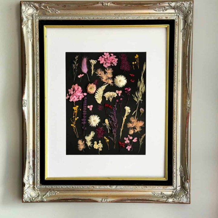 19 Stunning Pressed Flower Craft Ideas to Bring Nature Indoors