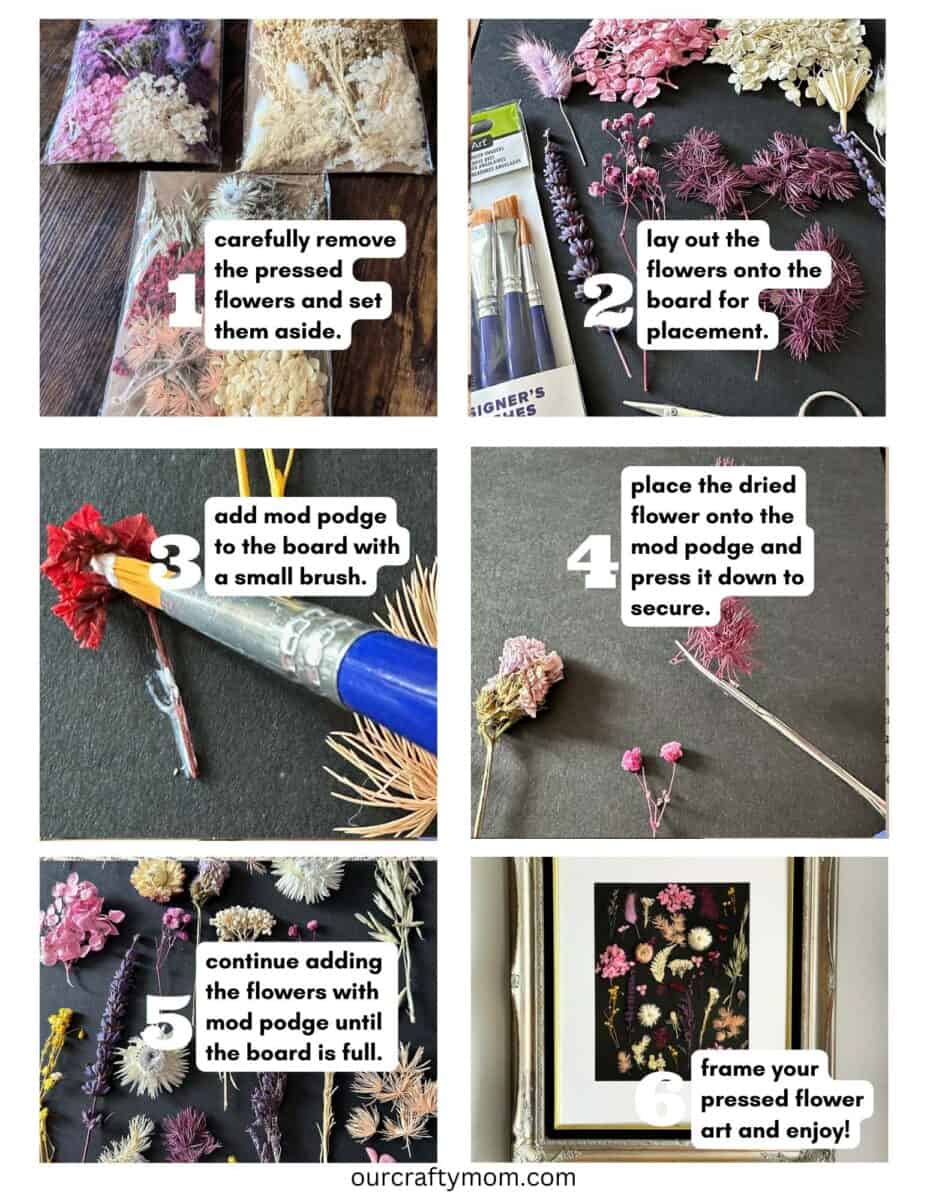 How to Make Stunning Pressed Dried Flower Wall Art