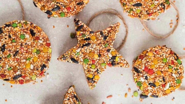 15 Creative Ways to Craft with Mason Jar Lids