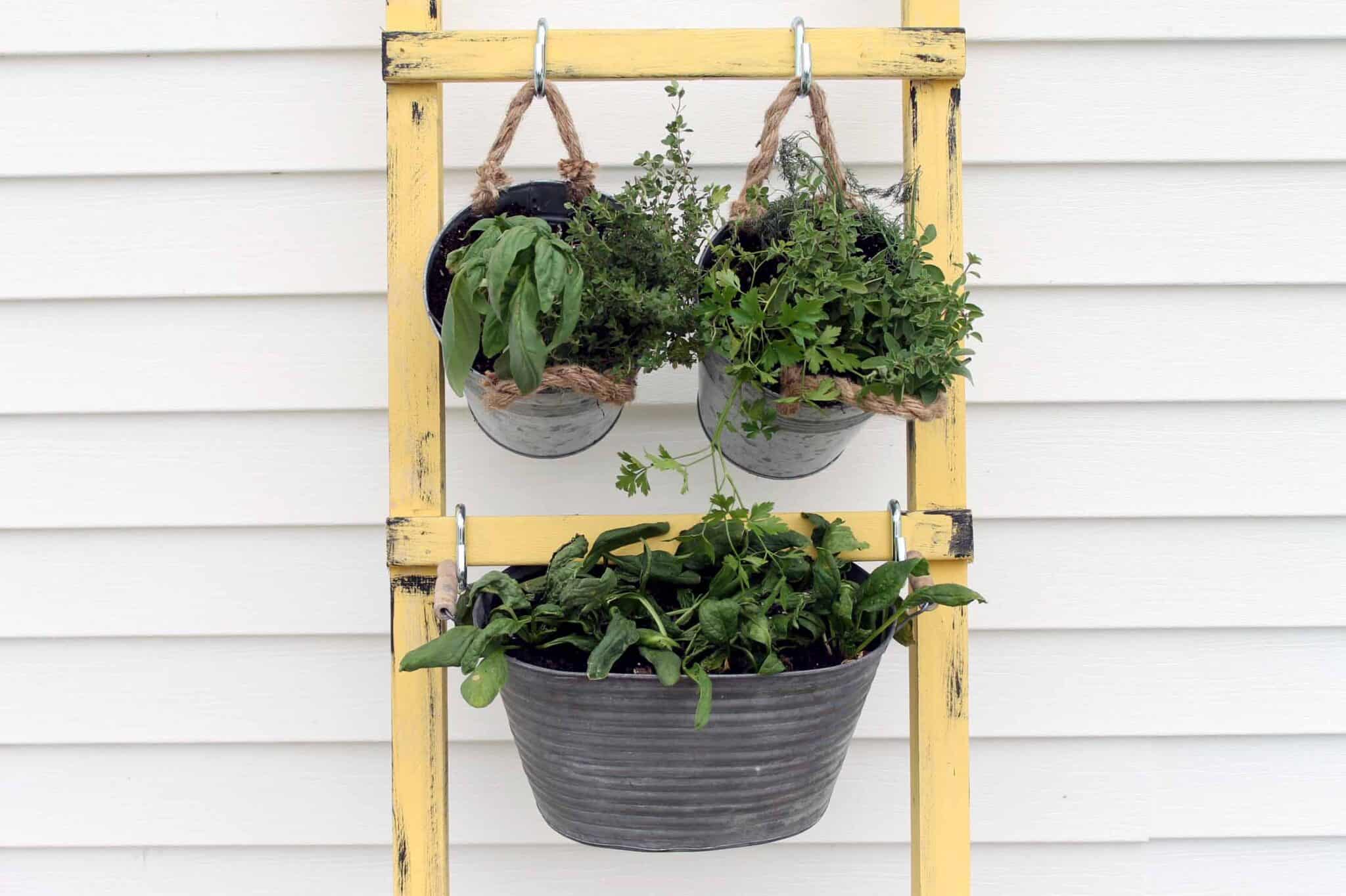 39+ Easy and Cheap Container Gardening Ideas (2024)