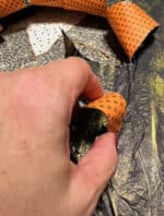 How to Make Viral Busted Canvas Halloween Art in 5 Simple Steps