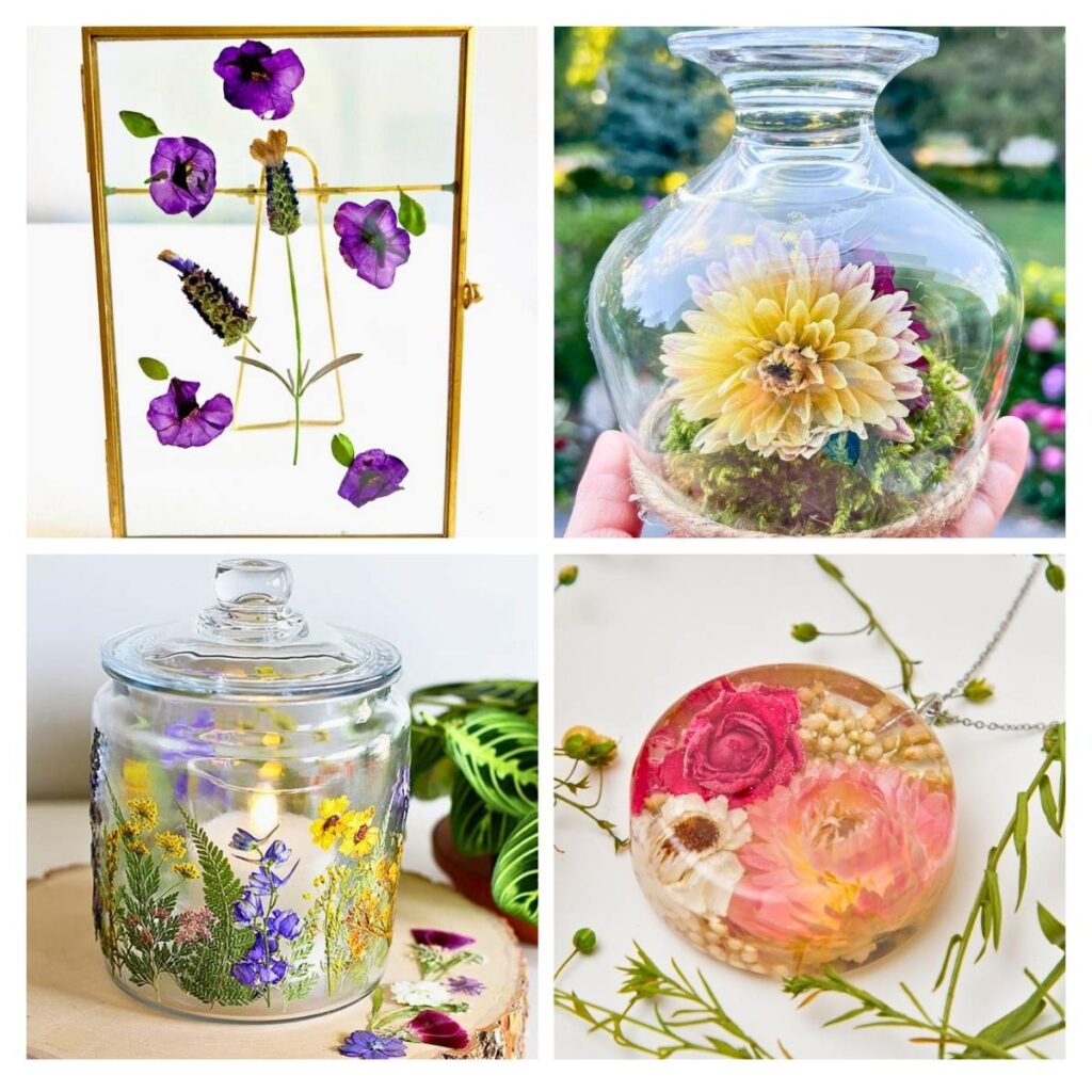 19 Stunning Pressed Flower Craft Ideas to Bring Nature Indoors