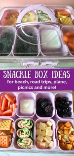 Snackle Box Ideas for the Beach, Road Trips, Plane Rides, Picnics!