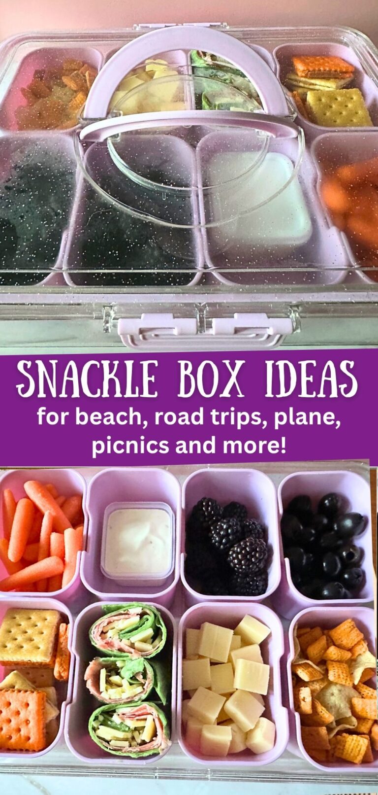 Snackle Box Ideas for the Beach, Road Trips, Plane Rides, Picnics!