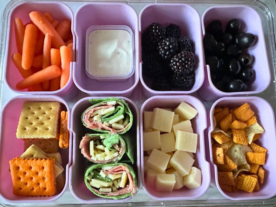 Snackle Box Ideas for the Beach, Road Trips, Plane Rides, Picnics!