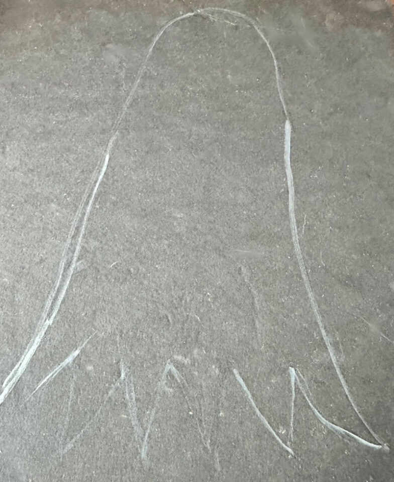 Cute Ghost Painting with Pressed Flowers for Summerween