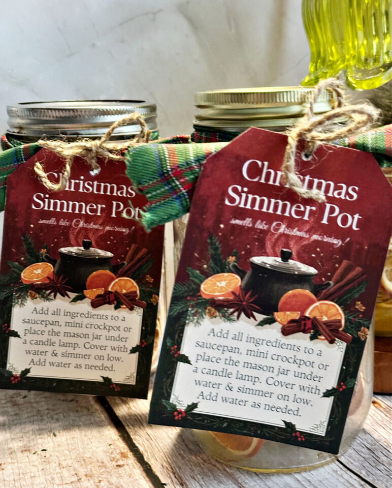 How To Make A Christmas Simmer Pot Gift (Free Printable Tag)