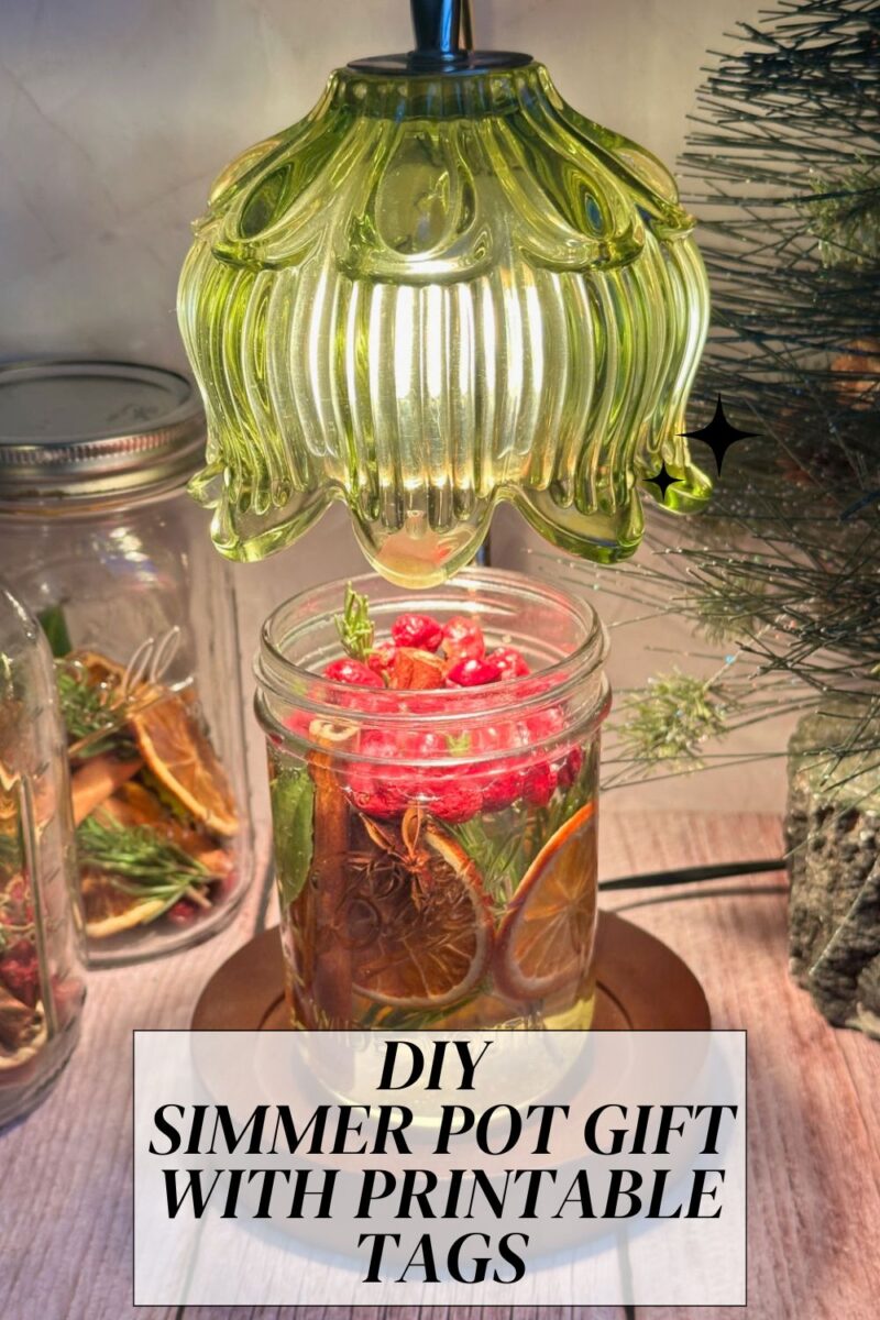 How To Make A Christmas Simmer Pot Gift (Free Printable Tag)